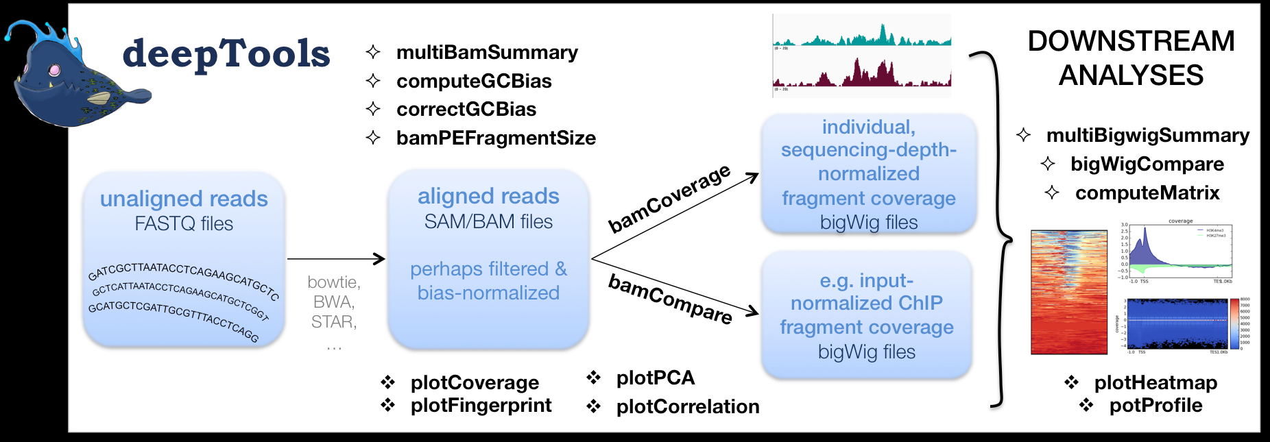 deeptools_computeMatrix使用介绍 - 欢迎来到我的空间🎈